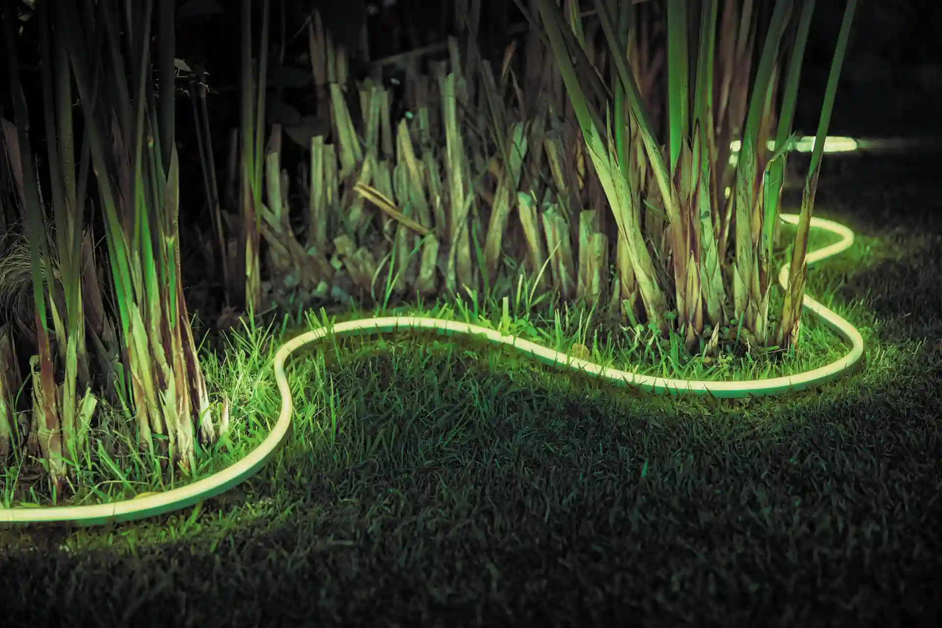 Philips Hue Lightstrip Outdoor 5m White & Color Ambiance 1600lm | Smart ...